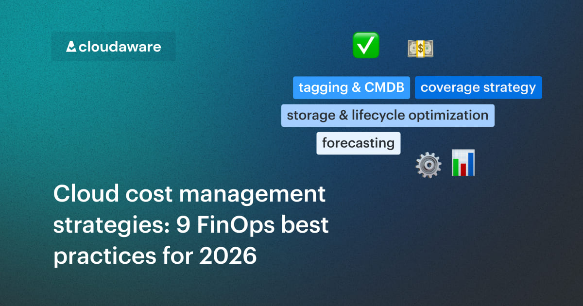9 Cloud Cost Management Strategies From FinOps pros