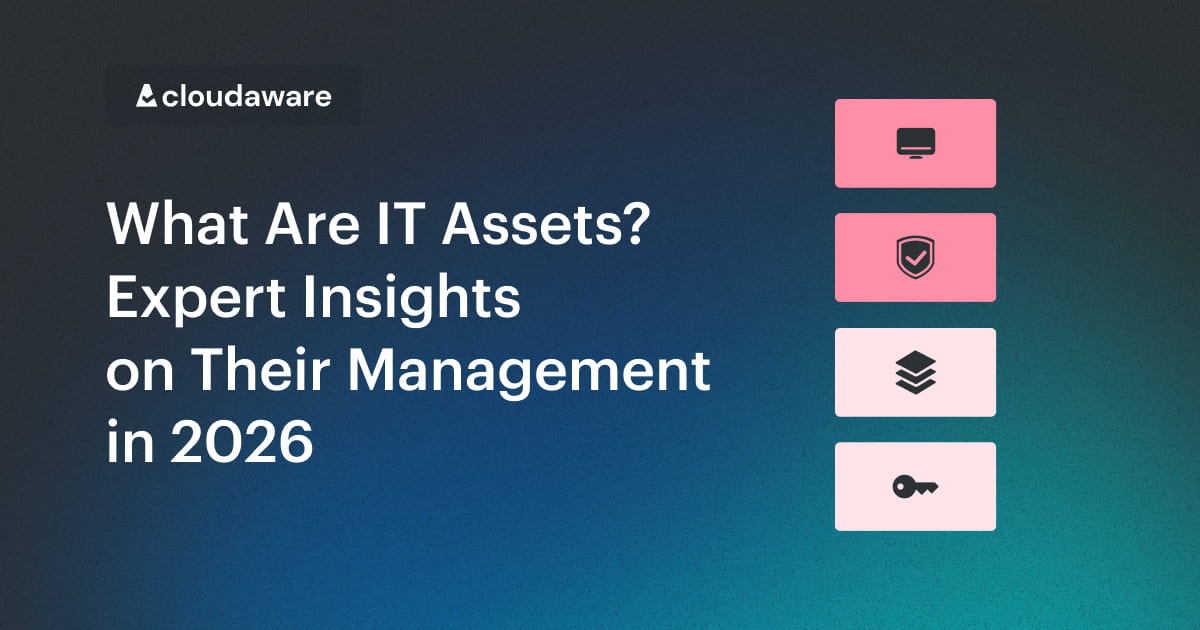 What Are IT Assets? Expert Insights